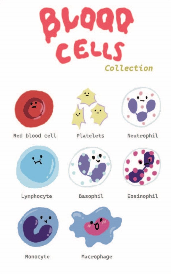 Blood Cells Keychain Collection With Random Card - Etsy