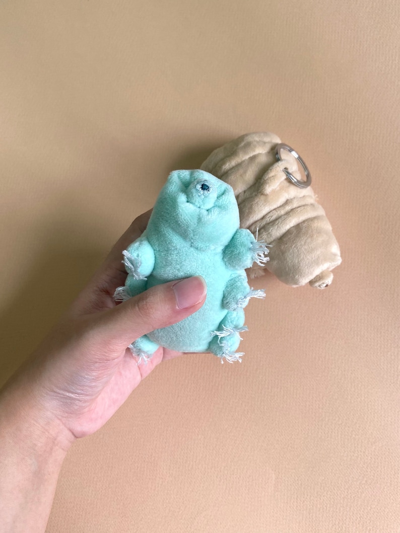 Tardigrade/water Bear Handmade Plushie Keychain - Etsy