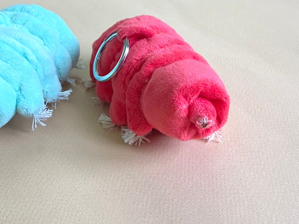 Tardigrade/water Bear Handmade Plushie Keychain - Etsy