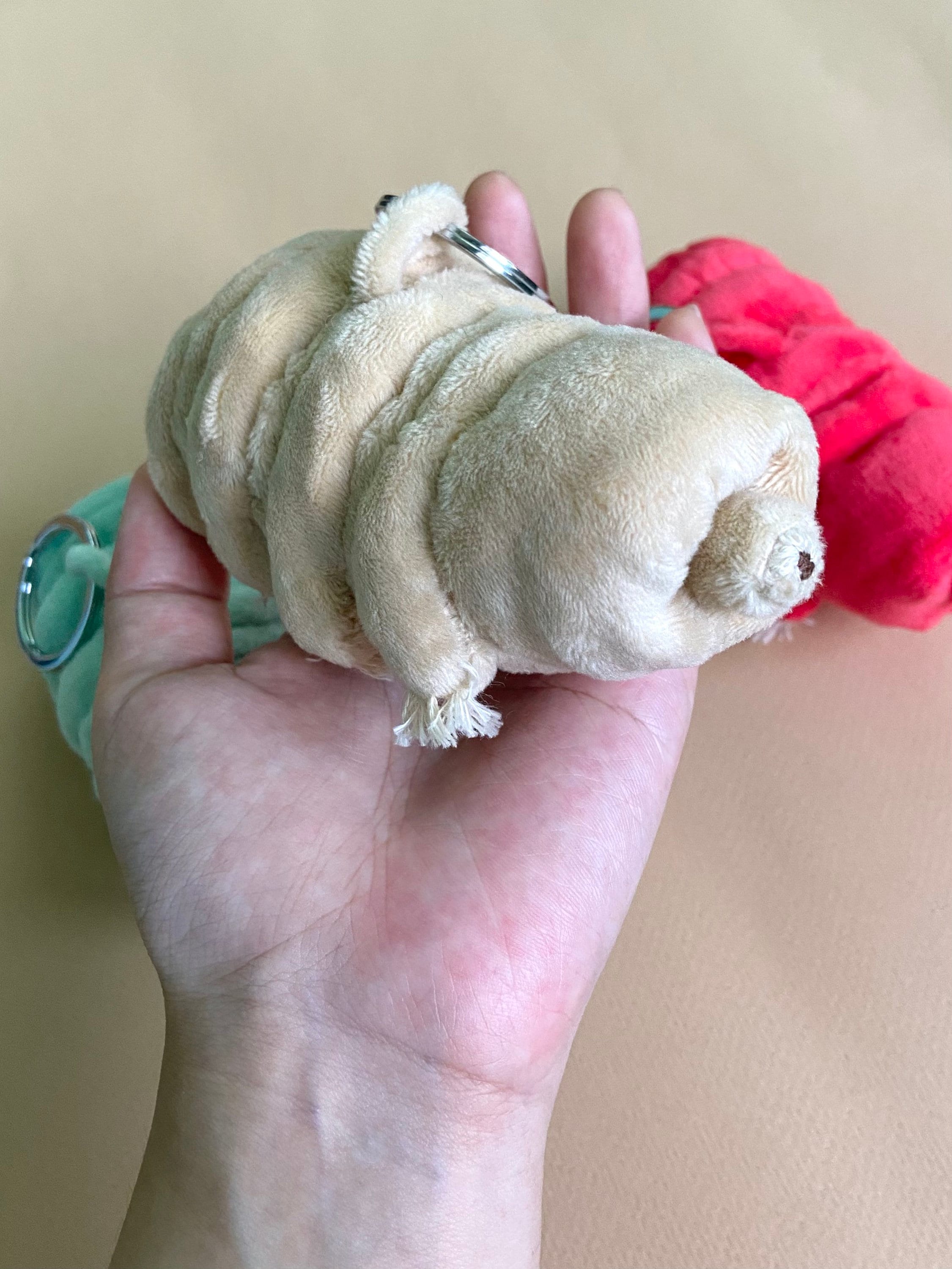 Tardigrade/water Bear Handmade Plushie Keychain - Etsy