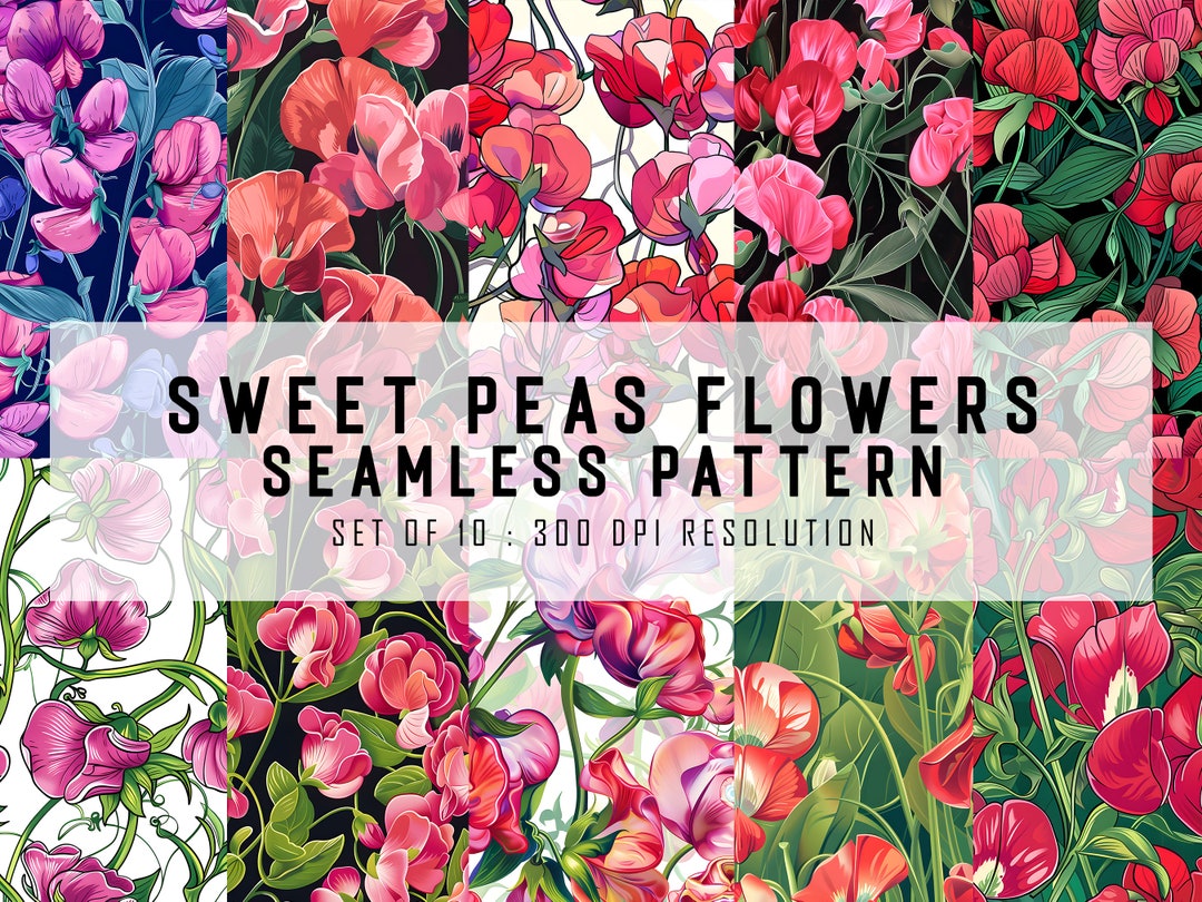 10 Sweet Peas Flowers Seamless Patterns - Digital Download - Perfect ...