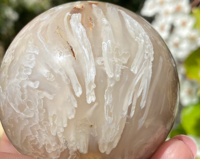 Flower Agate Sphere Flower Agate Geode White Flower Agate - Etsy