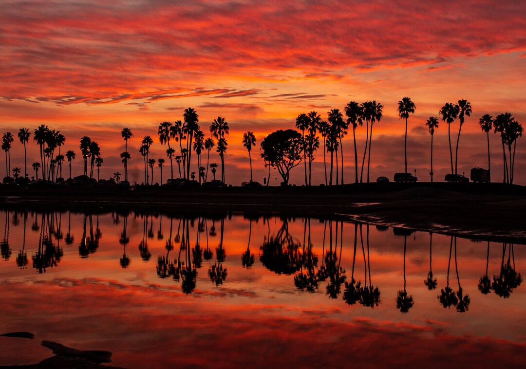 Sunset Palm Tree Reflection Photo - Etsy