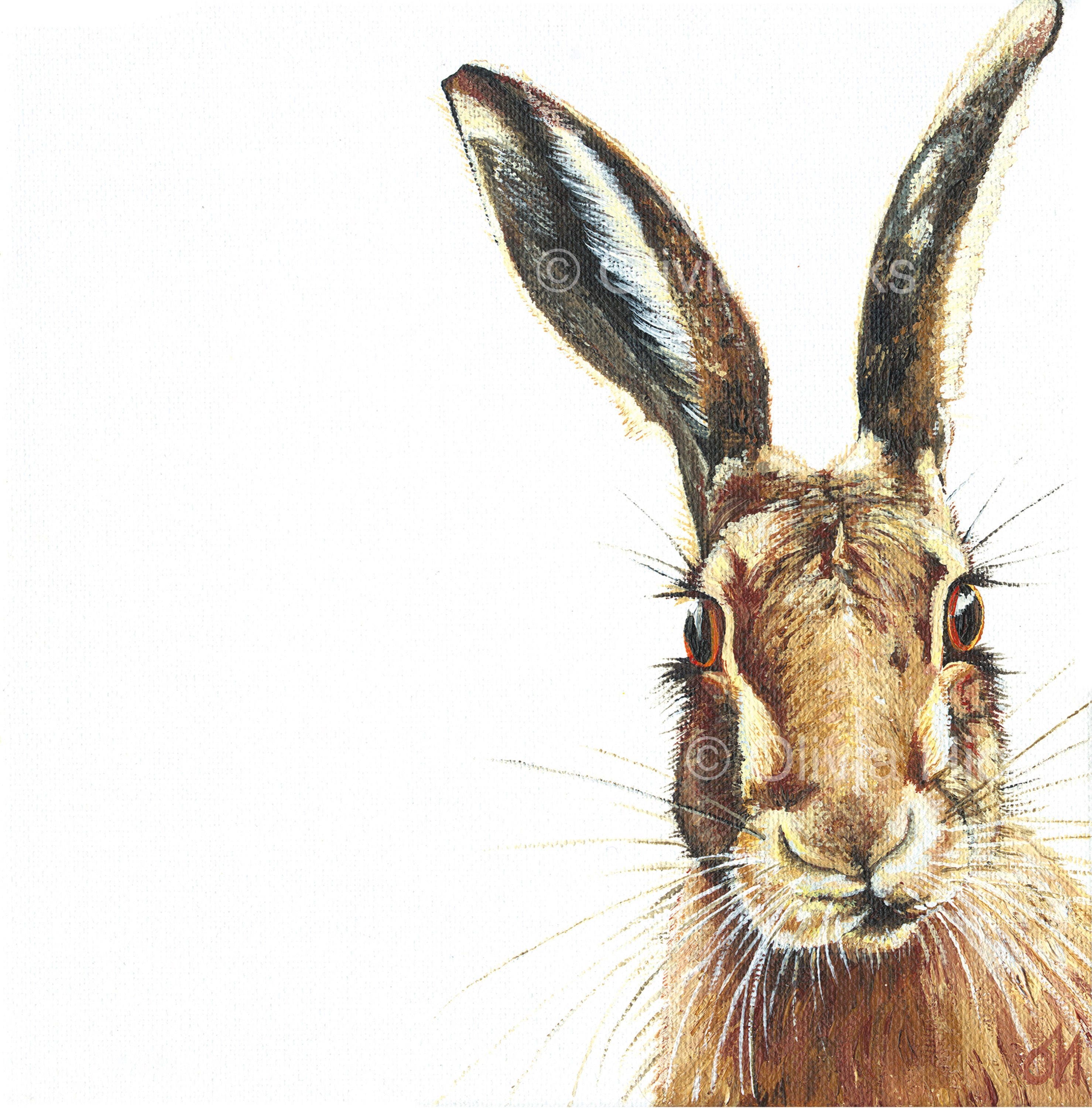 Hare Print - Unmounted Print - Hare Print - Hare Painting - Hare Art ...