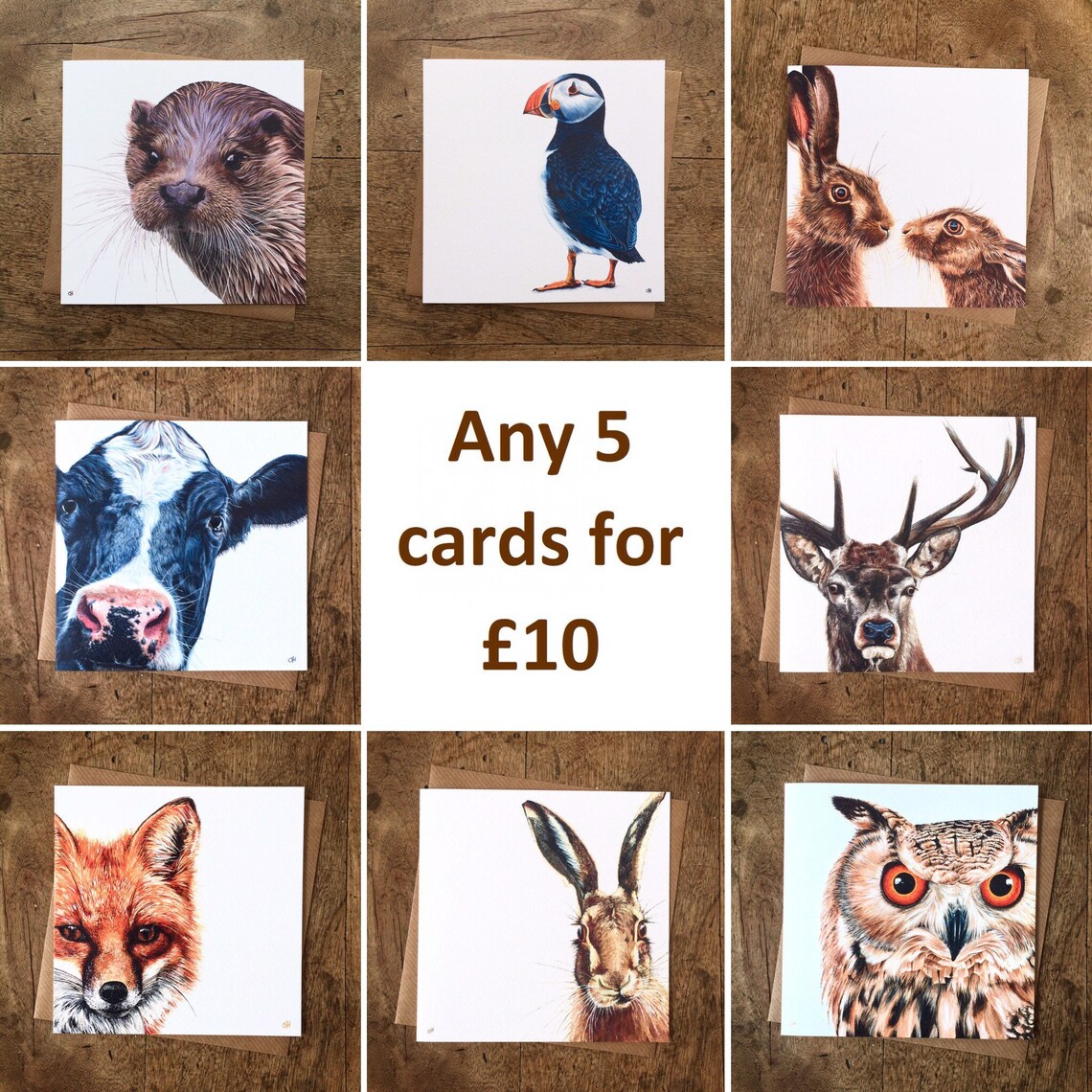 Animal Greetings Cards Mix and Match Multipack Any 5 Cards - Etsy UK