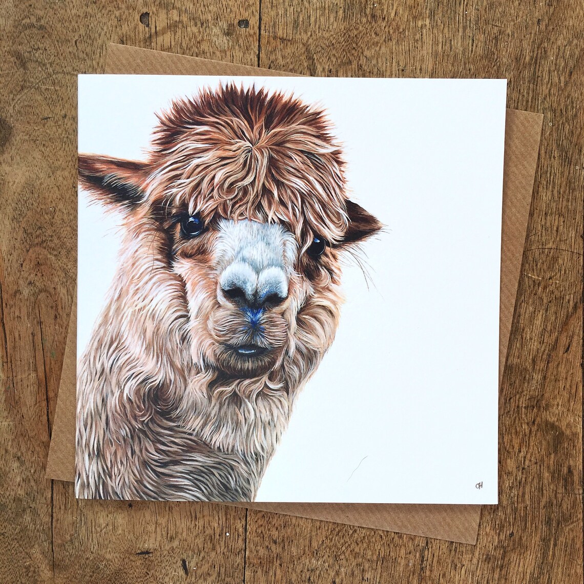 Alpaca Greetings Card - Alpaca Card - Art Card - Animal Card - Alpaca ...