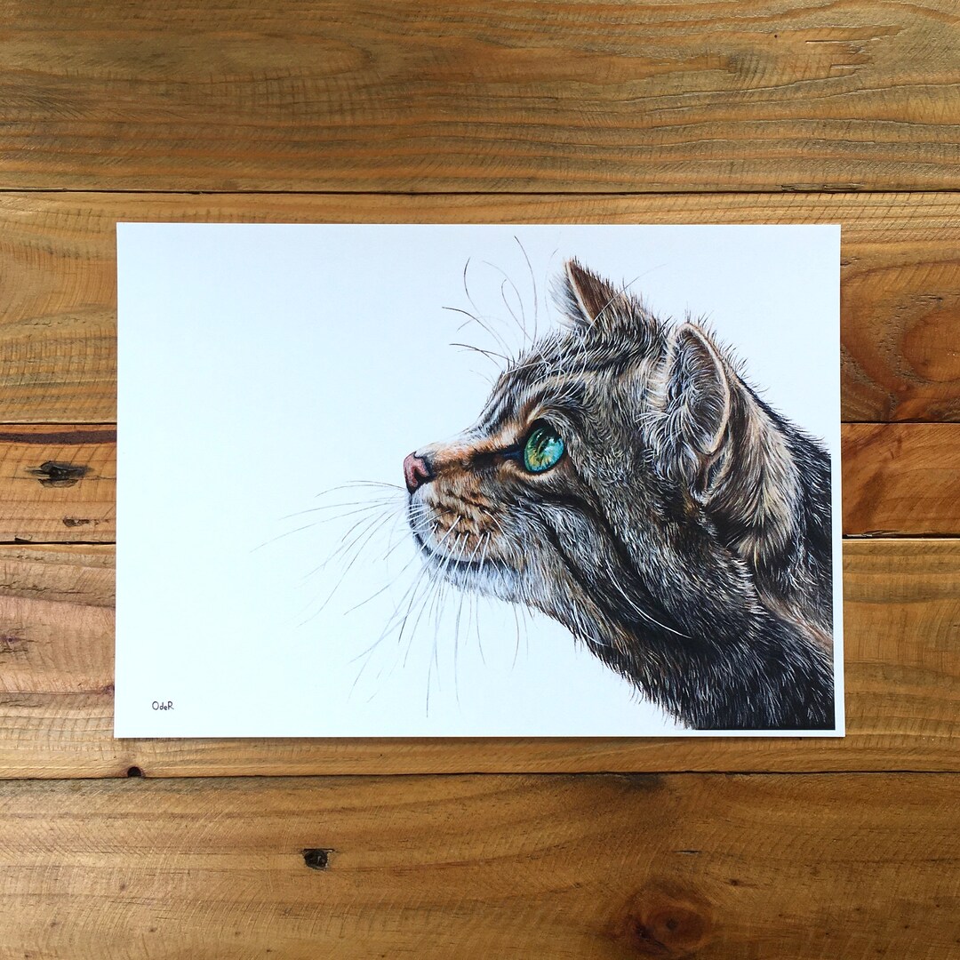 Scottish Wildcat Print A3 - Unmounted Print - Cat Print - Cat Painting ...