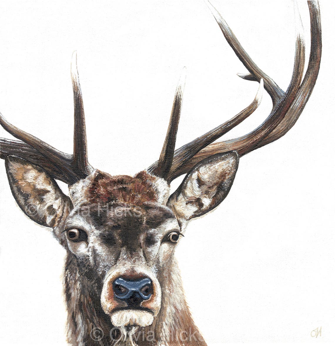 Stag Print - Unmounted Print - Stag Print - Stag Painting - Stag Art ...