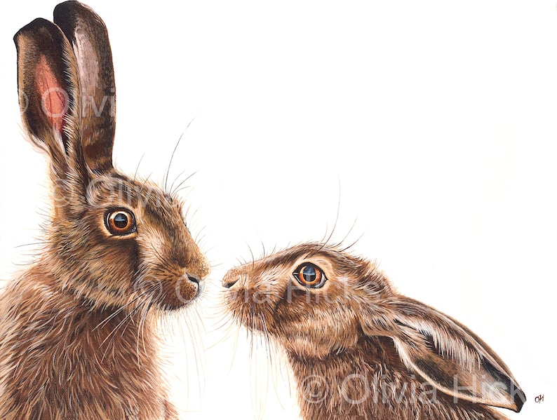 Kissing Hares Print A3 Unmounted Print Hare Print Hare Painting Hare ...