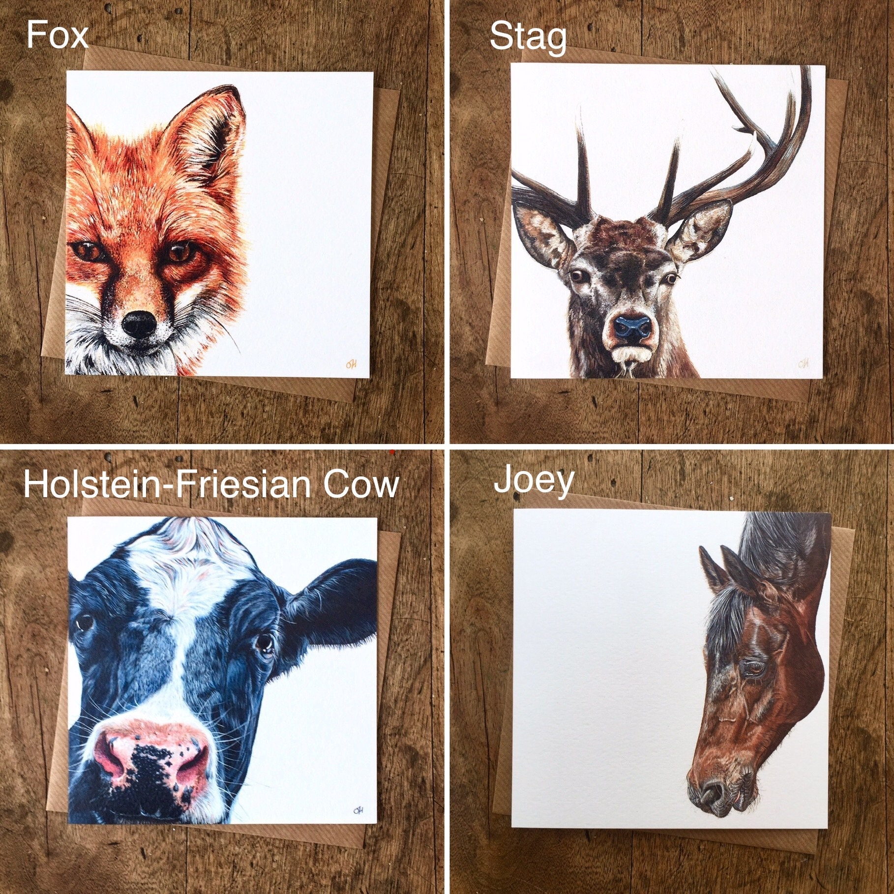 Animal Greetings Cards Mix and Match Multipack Any 5 Cards - Etsy UK