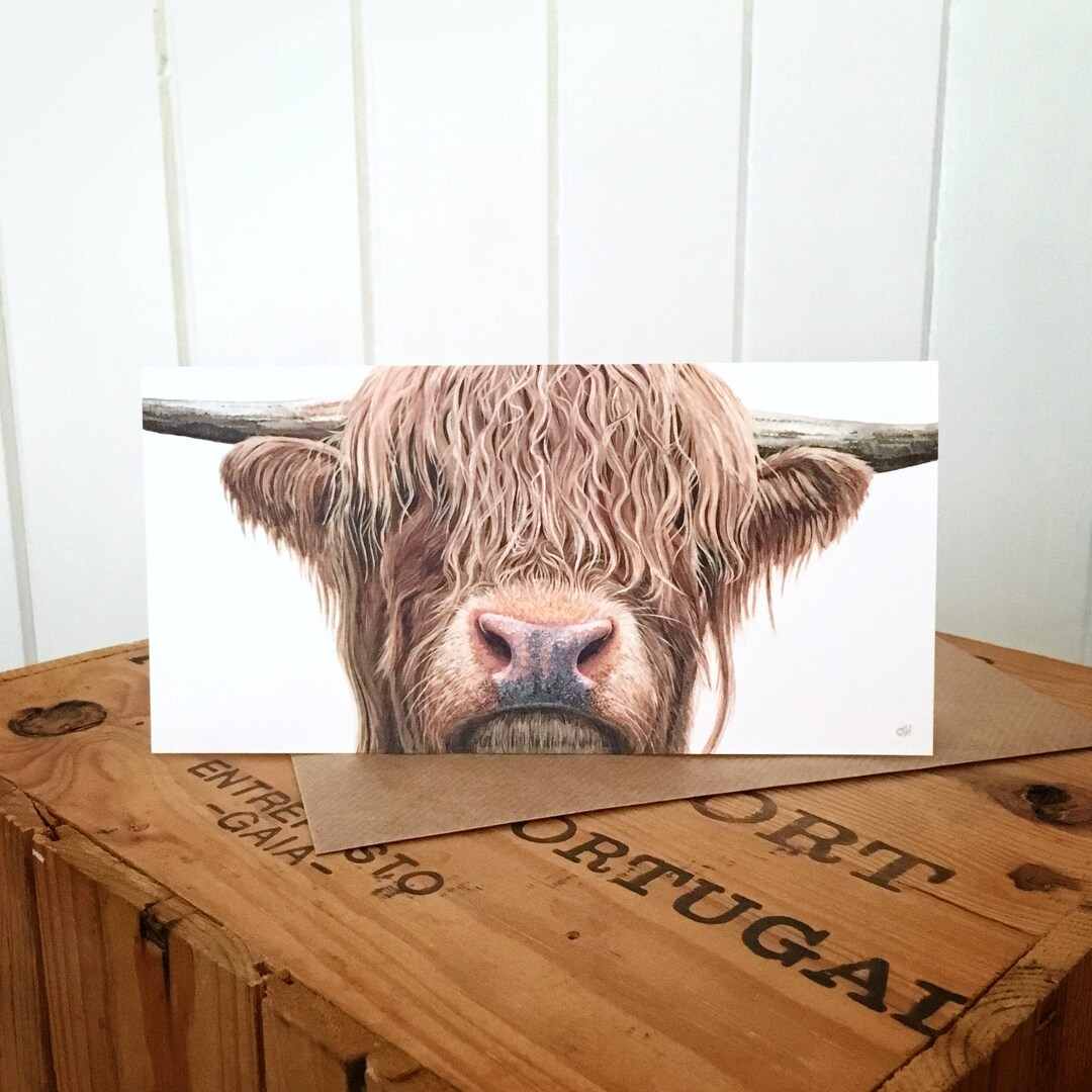 Highland Cow Greetings Card - Highland Cow Card - Highland Cow Art ...