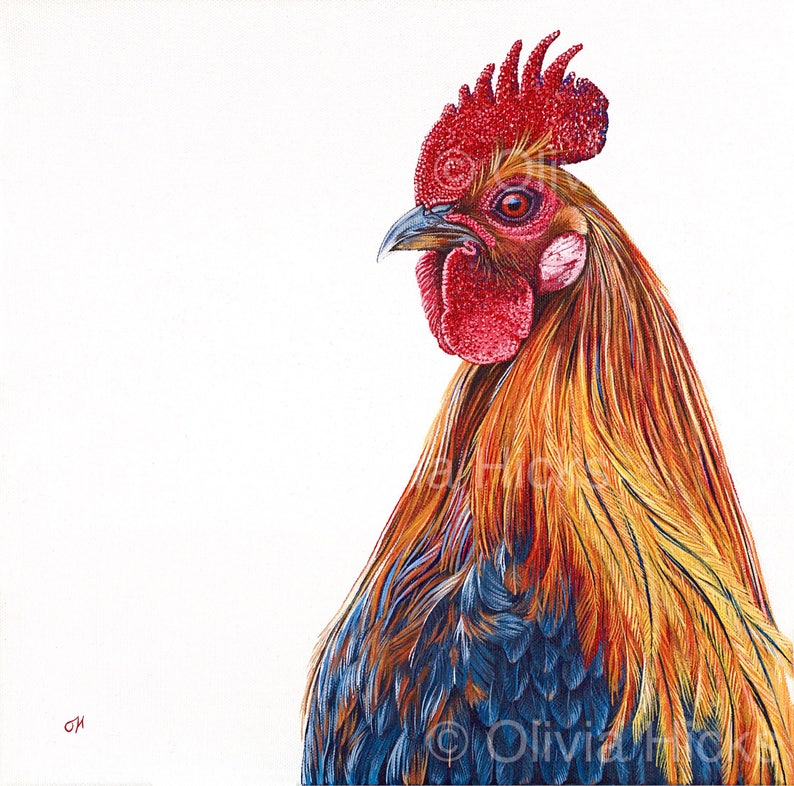 Cockerel Print - Unmounted Print - Chicken Print - Chicken Painting ...