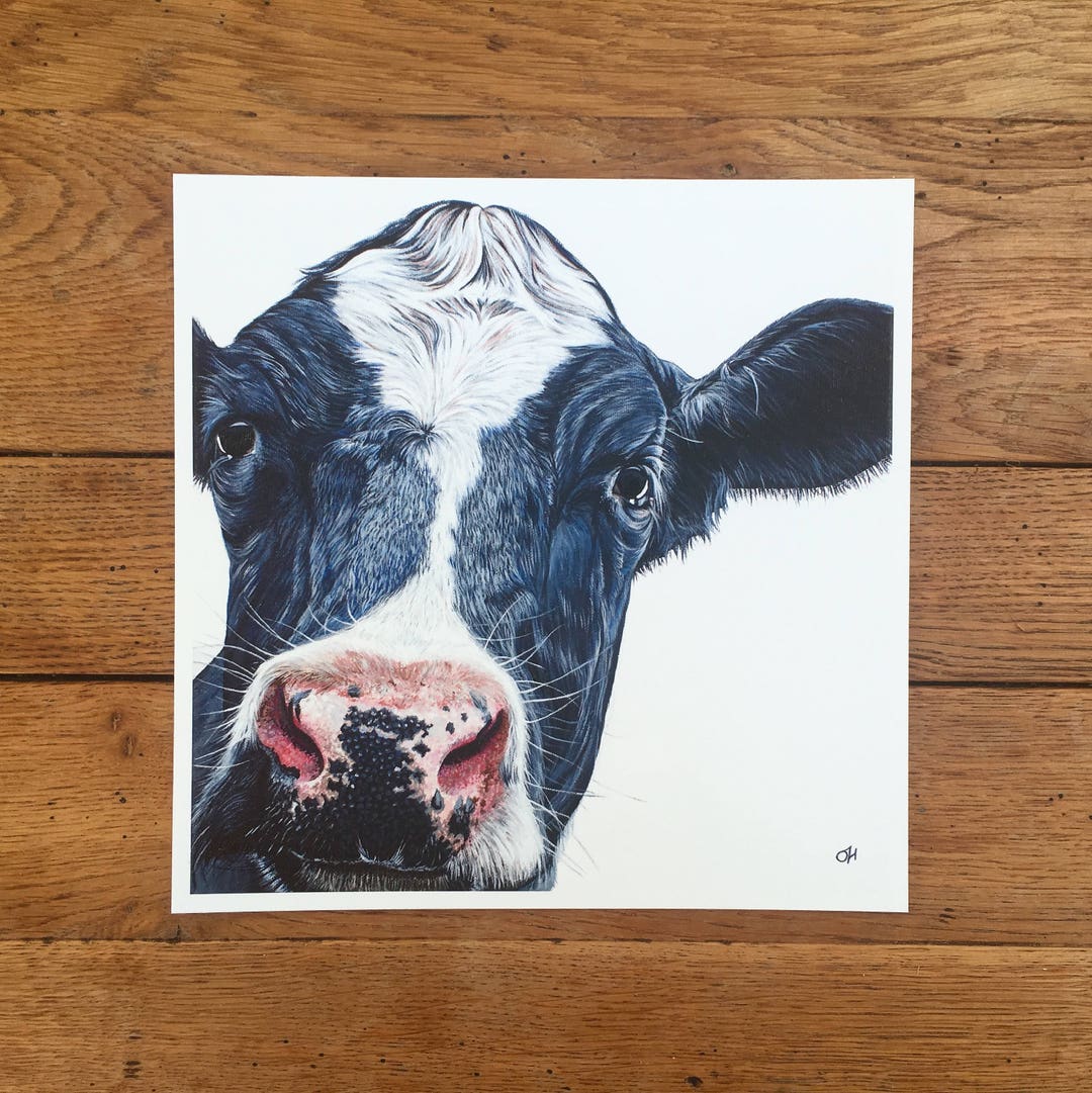 Holstein-friesian Cow Print - Unmounted Print - Cow Print - Cow ...