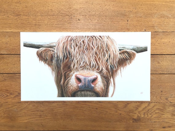 Highland Cow Print Extra Large Unmounted Print Highland | Etsy UK
