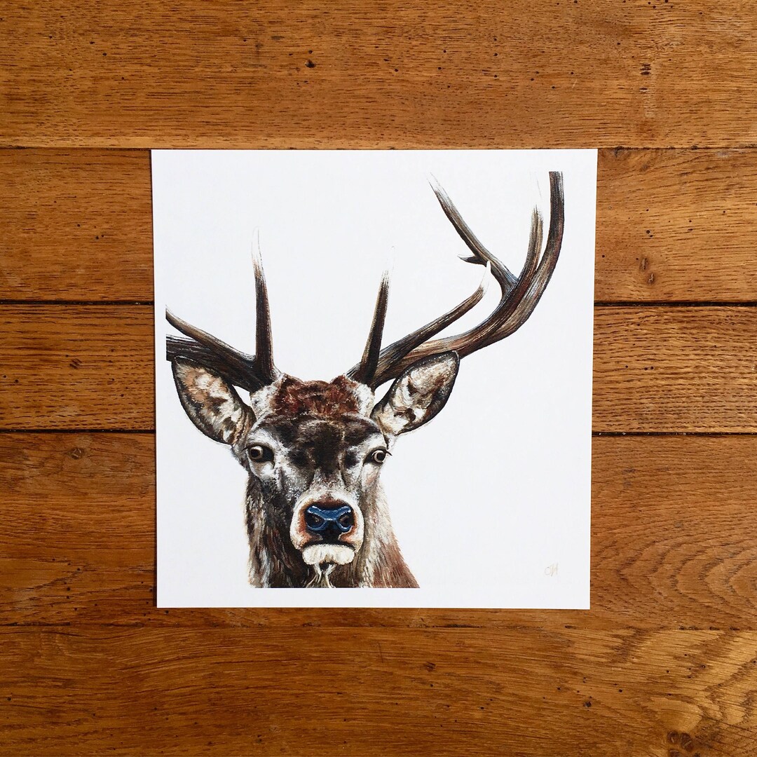 Stag Print - Unmounted Print - Stag Print - Stag Painting - Stag Art ...