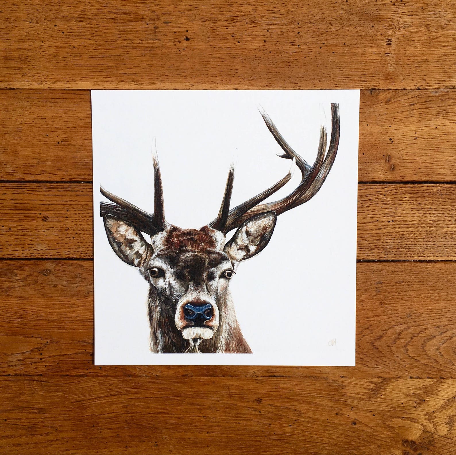 Stag Print - Unmounted Print - Stag Print - Stag Painting - Stag Art ...