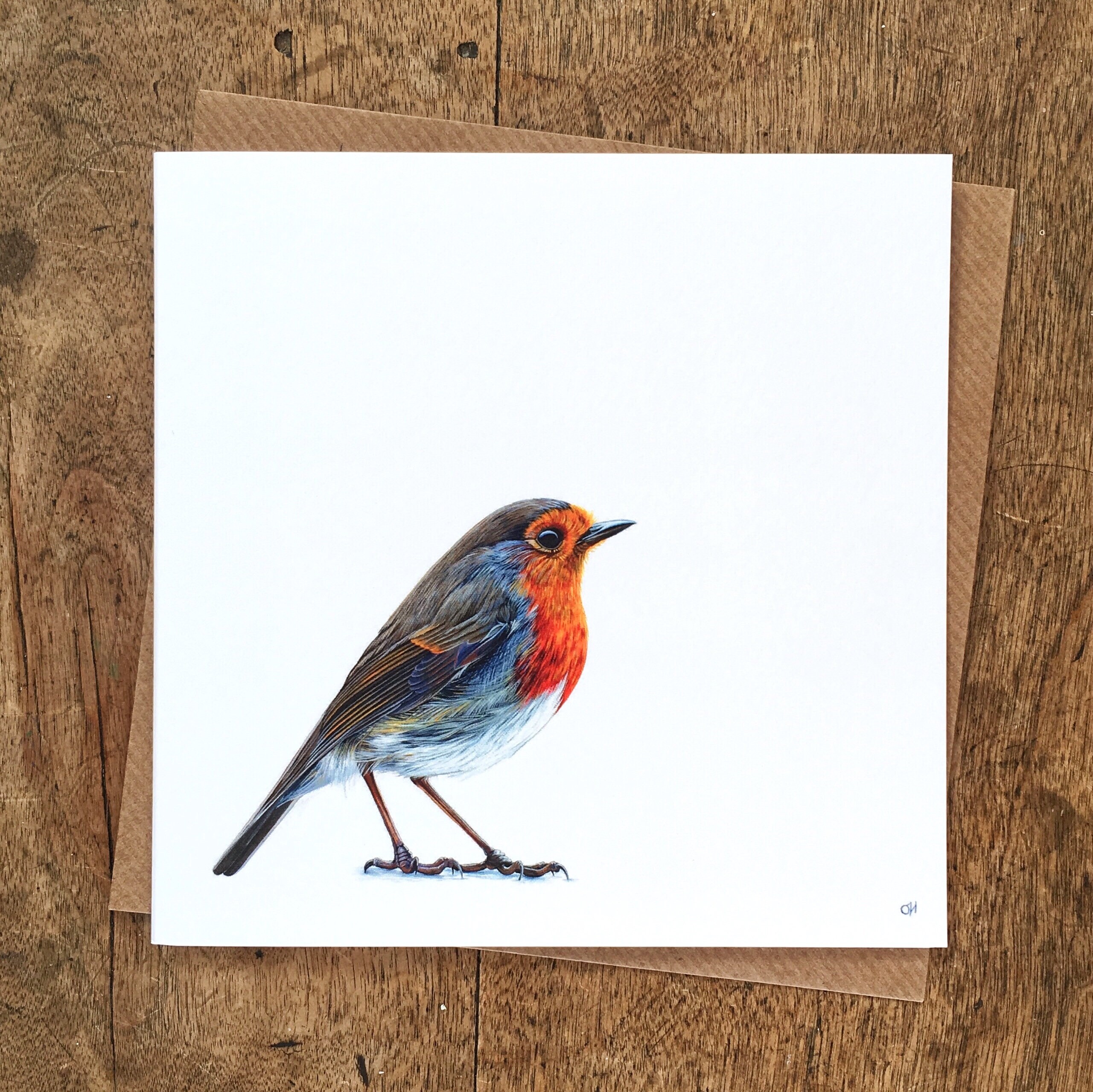 Robin Greetings Card Robin Card Art Card Bird Card - Etsy Italia