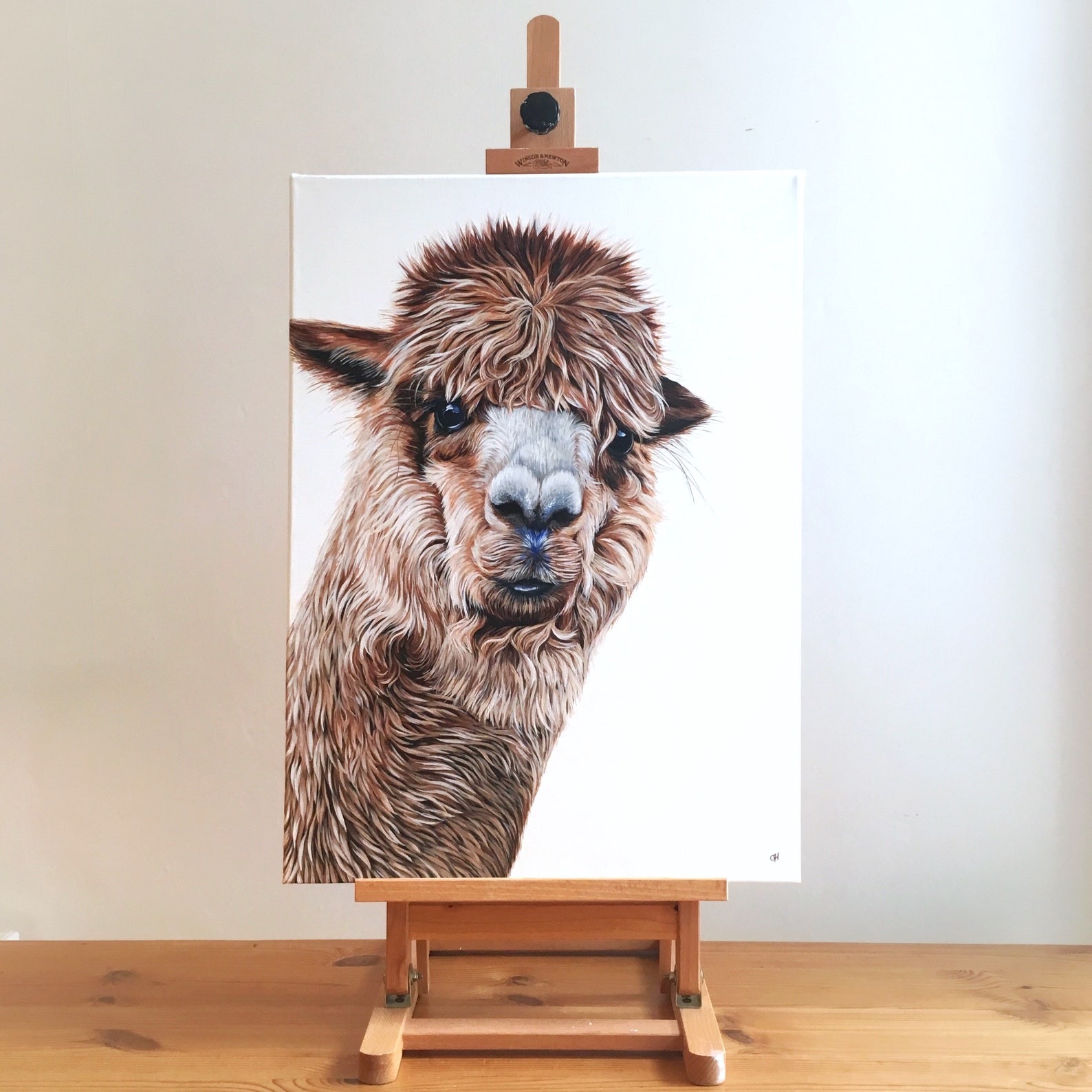Alpaca - Limited Edition Giclée Canvas Print; Alpaca Art - Alpaca Print ...