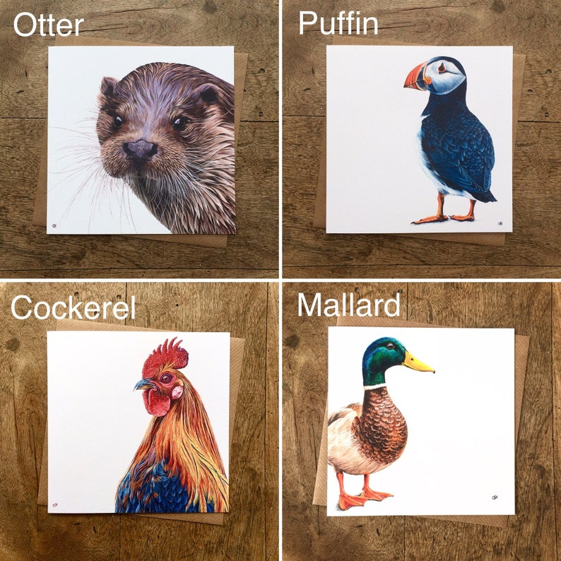 Animal Greetings Cards Mix and Match Multipack Any 5 Cards - Etsy
