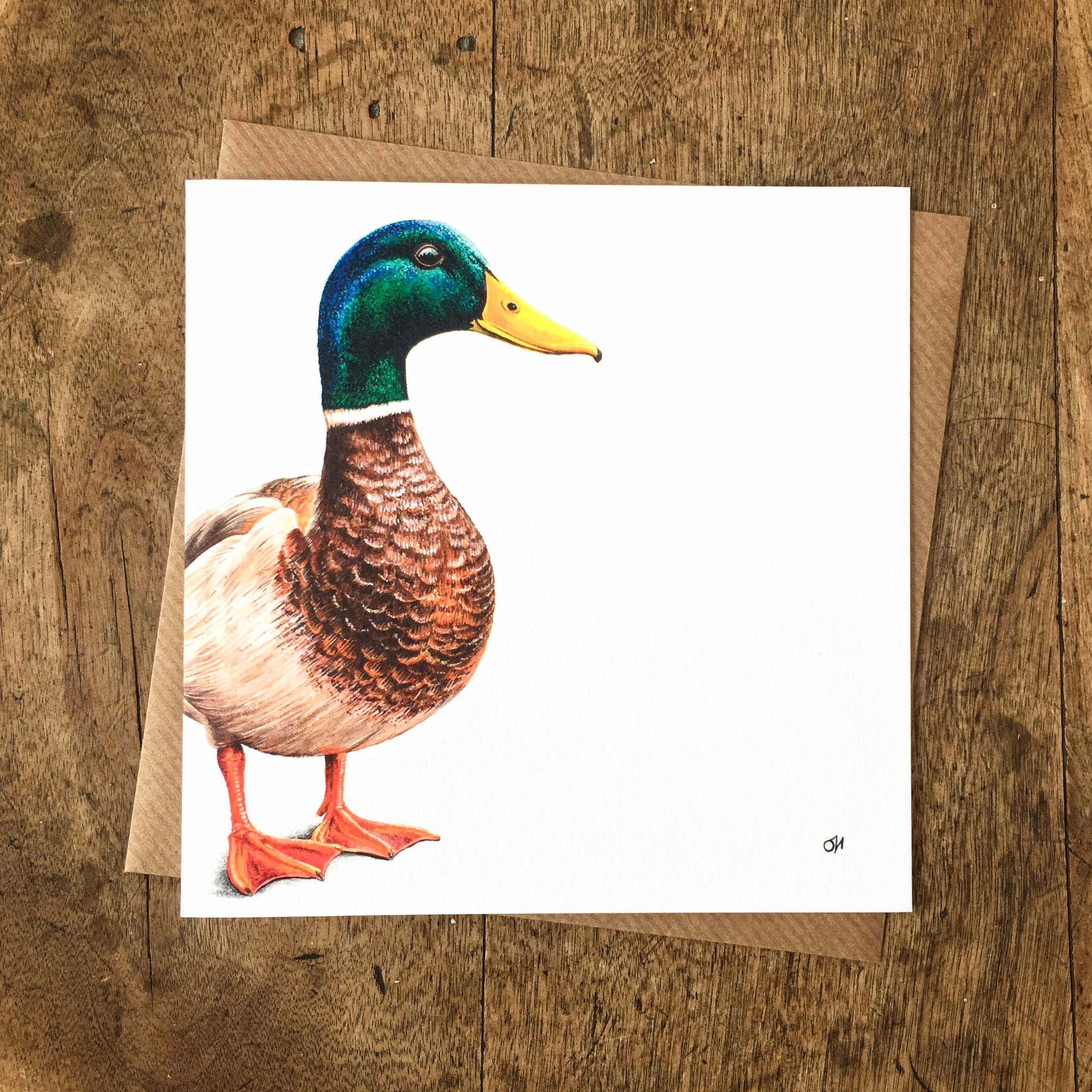 Mallard Duck Greetings Card - Duck Card - Duck Art - Duck Painting ...