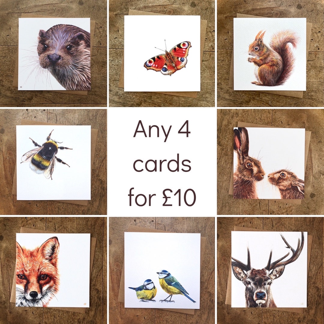 Animal Greetings Cards Mix and Match Multipack - Any 4 Cards - Animal ...