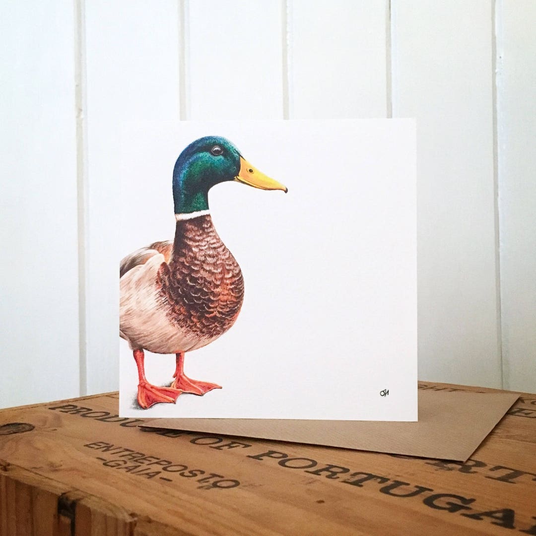 Mallard Duck Greetings Card - Duck Card - Duck Art - Duck Painting ...