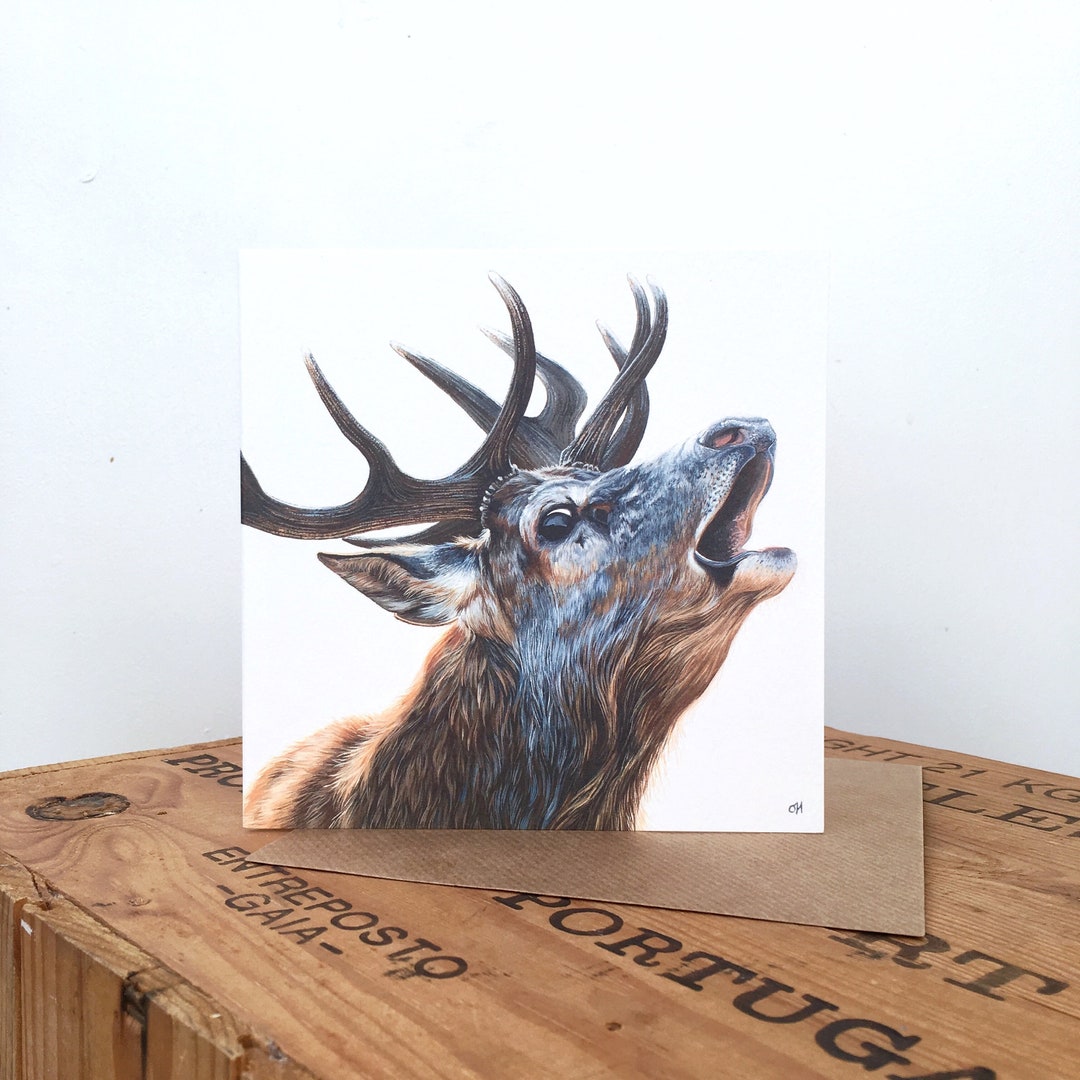 Bellowing Stag Greetings Card - Stag Card - Art Card - Animal Card ...