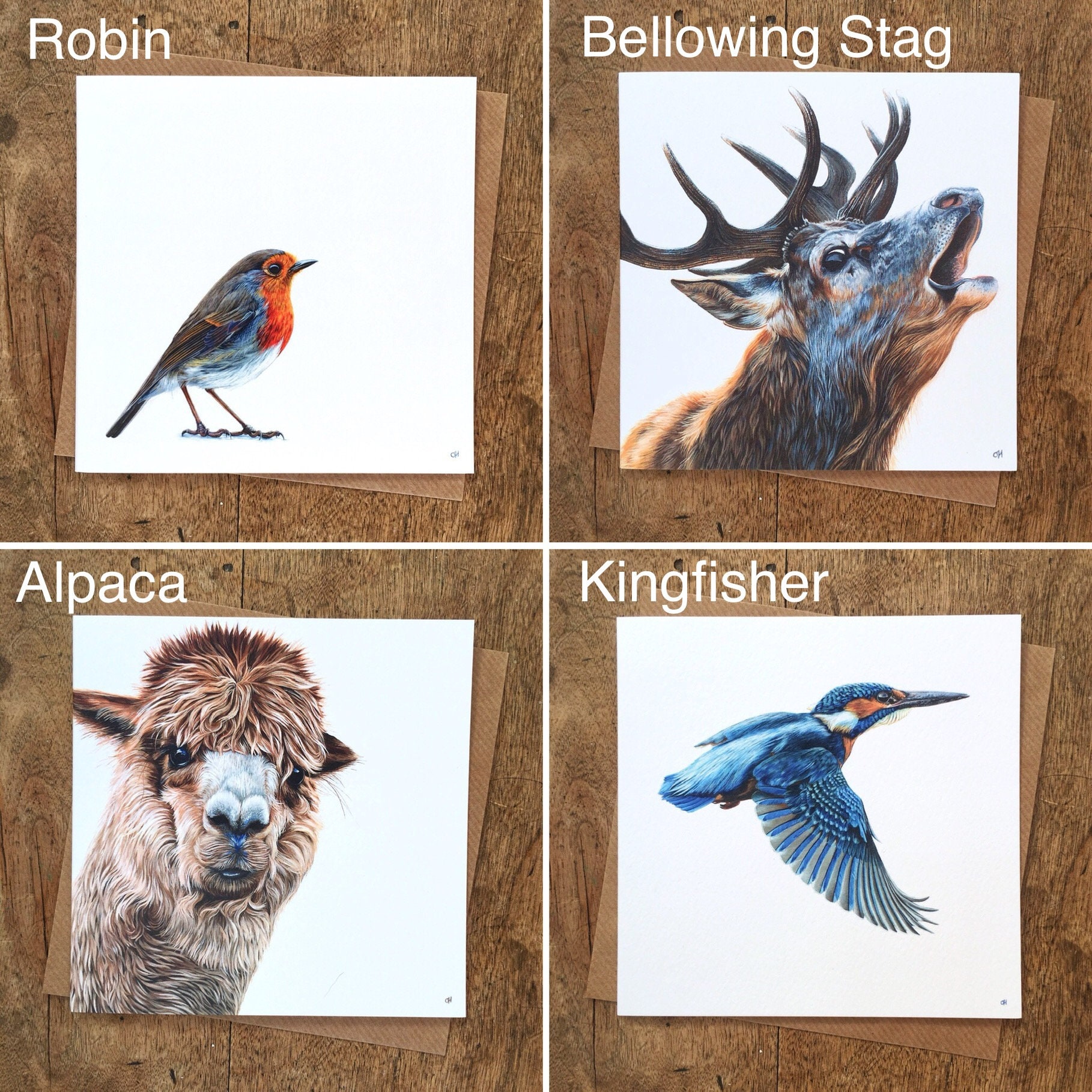 Animal Greetings Cards Mix and Match Multipack Any 5 Cards Animal Cards ...
