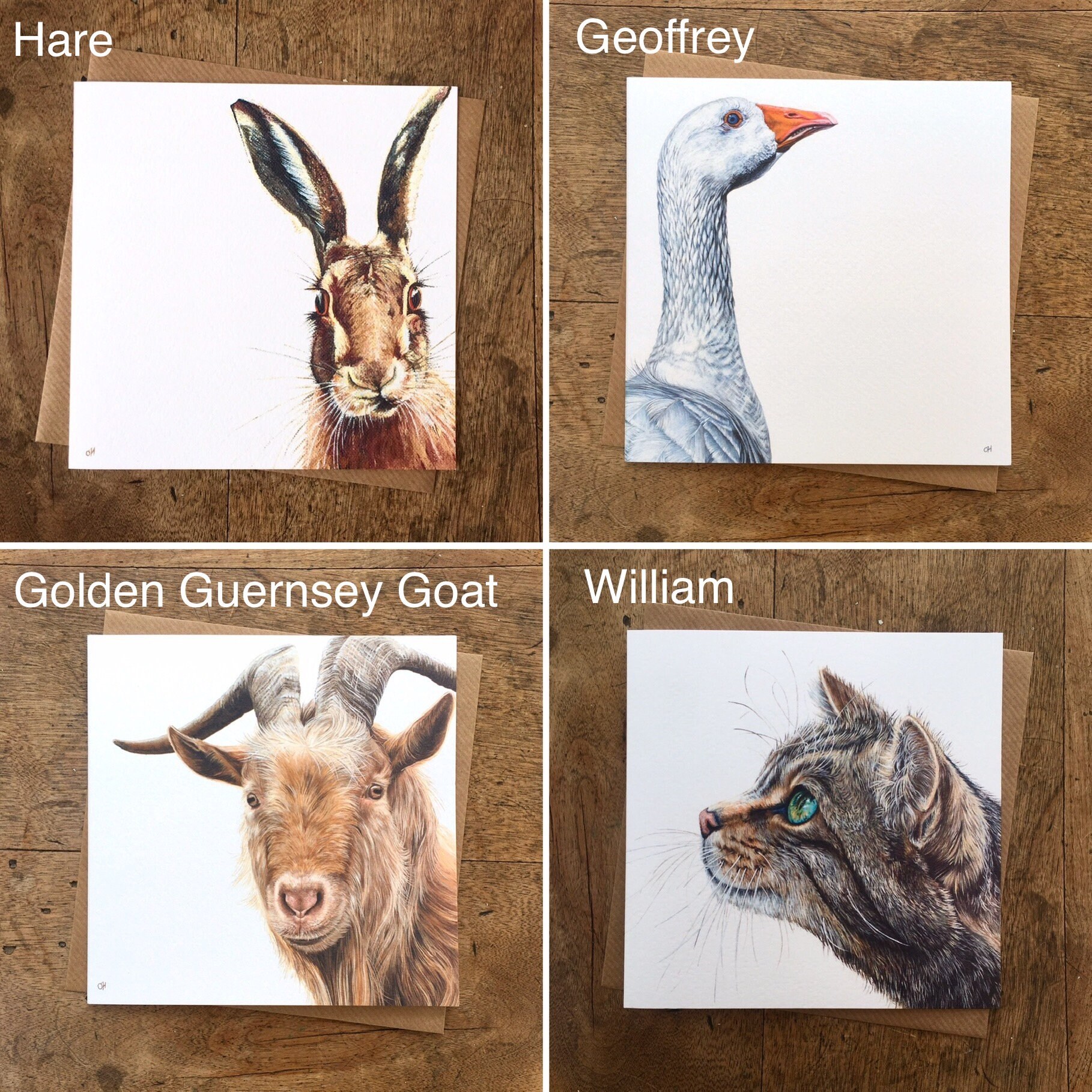 Animal Greetings Cards Mix and Match Multipack Any 5 Cards - Etsy
