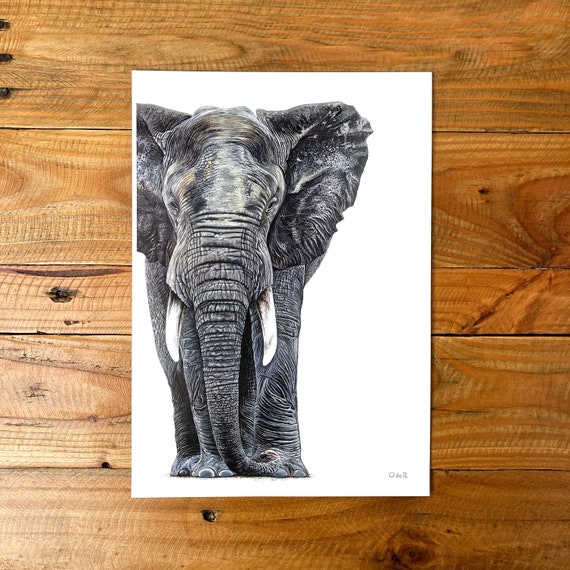Elephant Print A4 Art & Collectibles Digital Prints Prints etna.com.pe