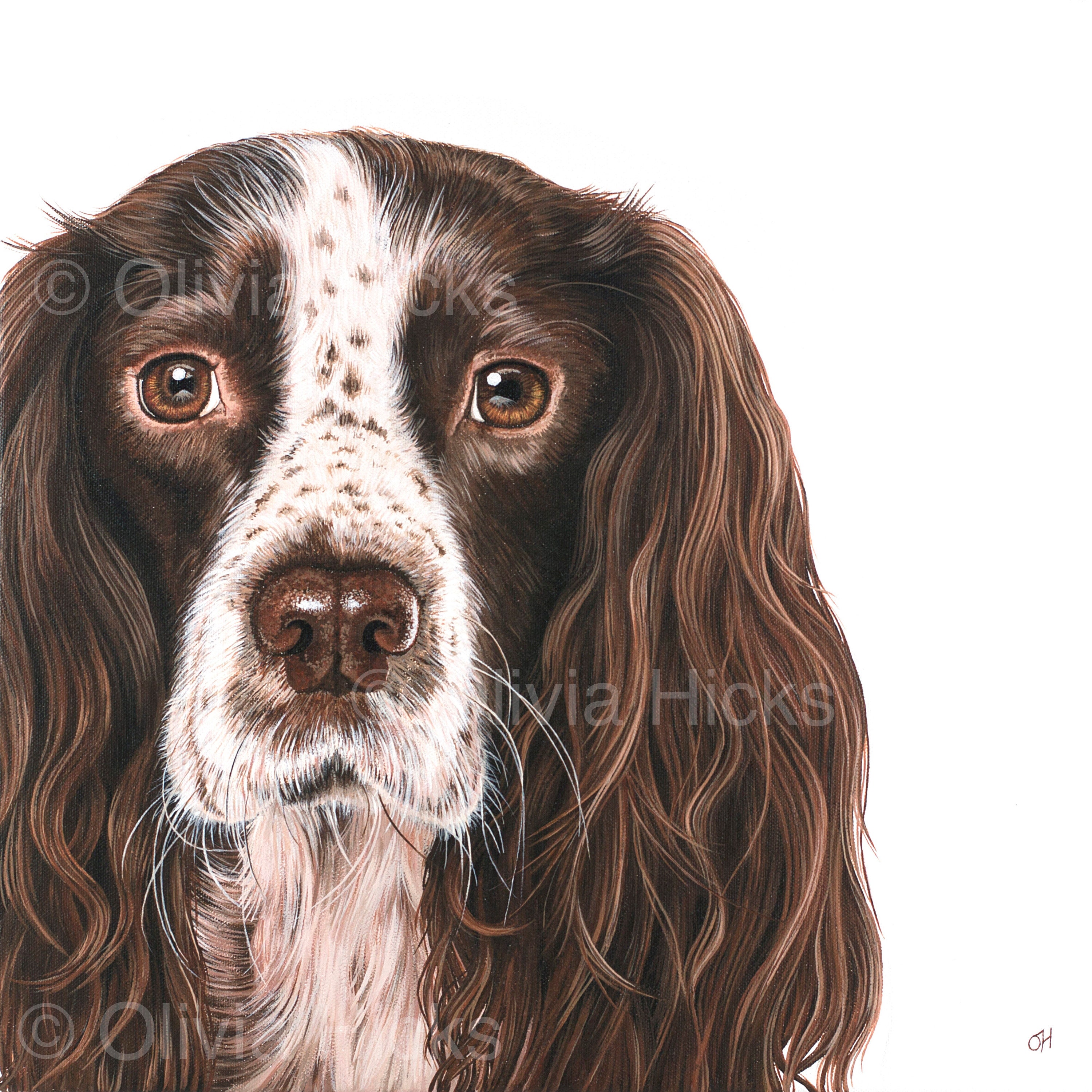 Springer Spaniel Greetings Card - Spaniel Card - Spaniel Art - Dog Card ...