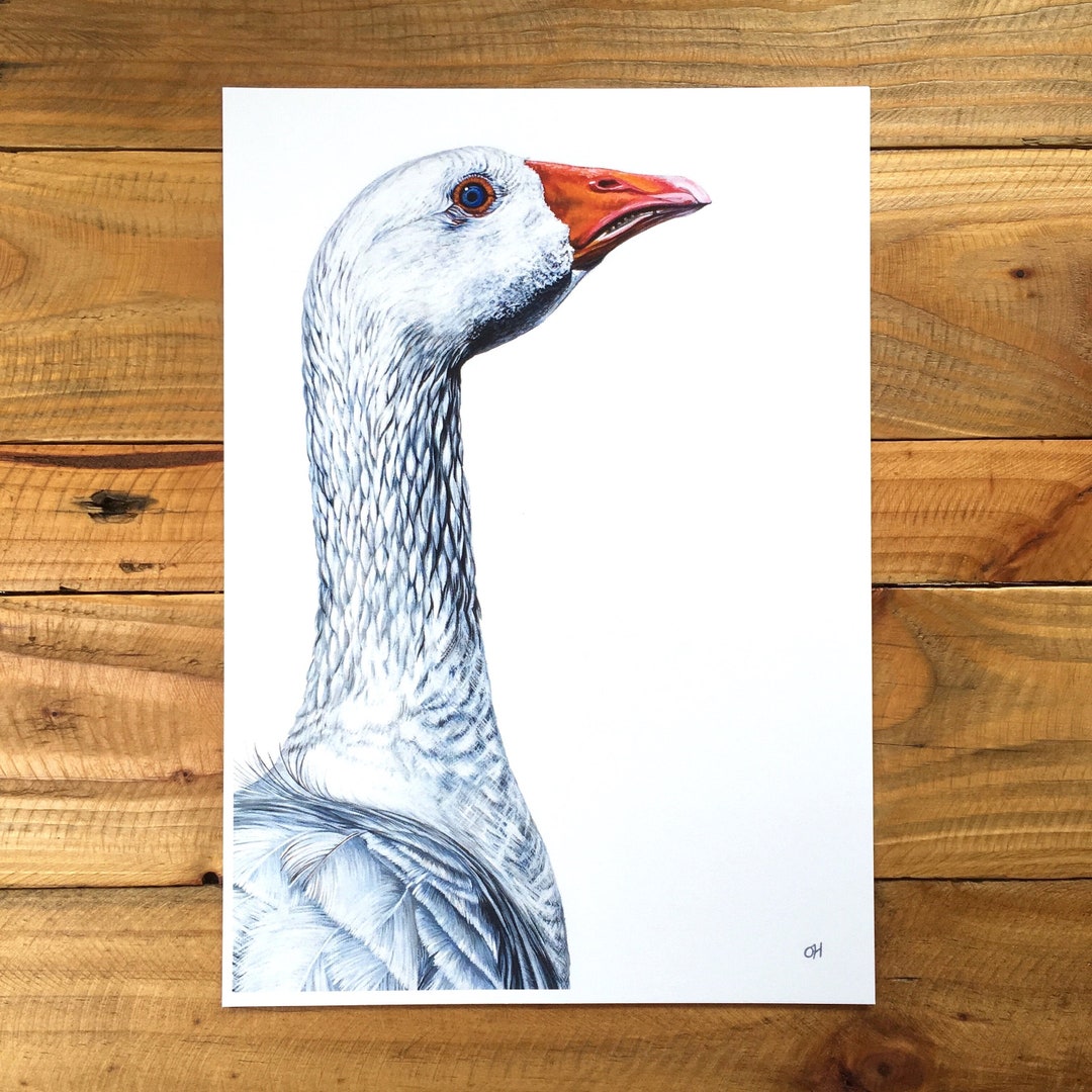 Goose Print A4 - Unmounted Print - Goose Print - Goose Painting - Goose ...