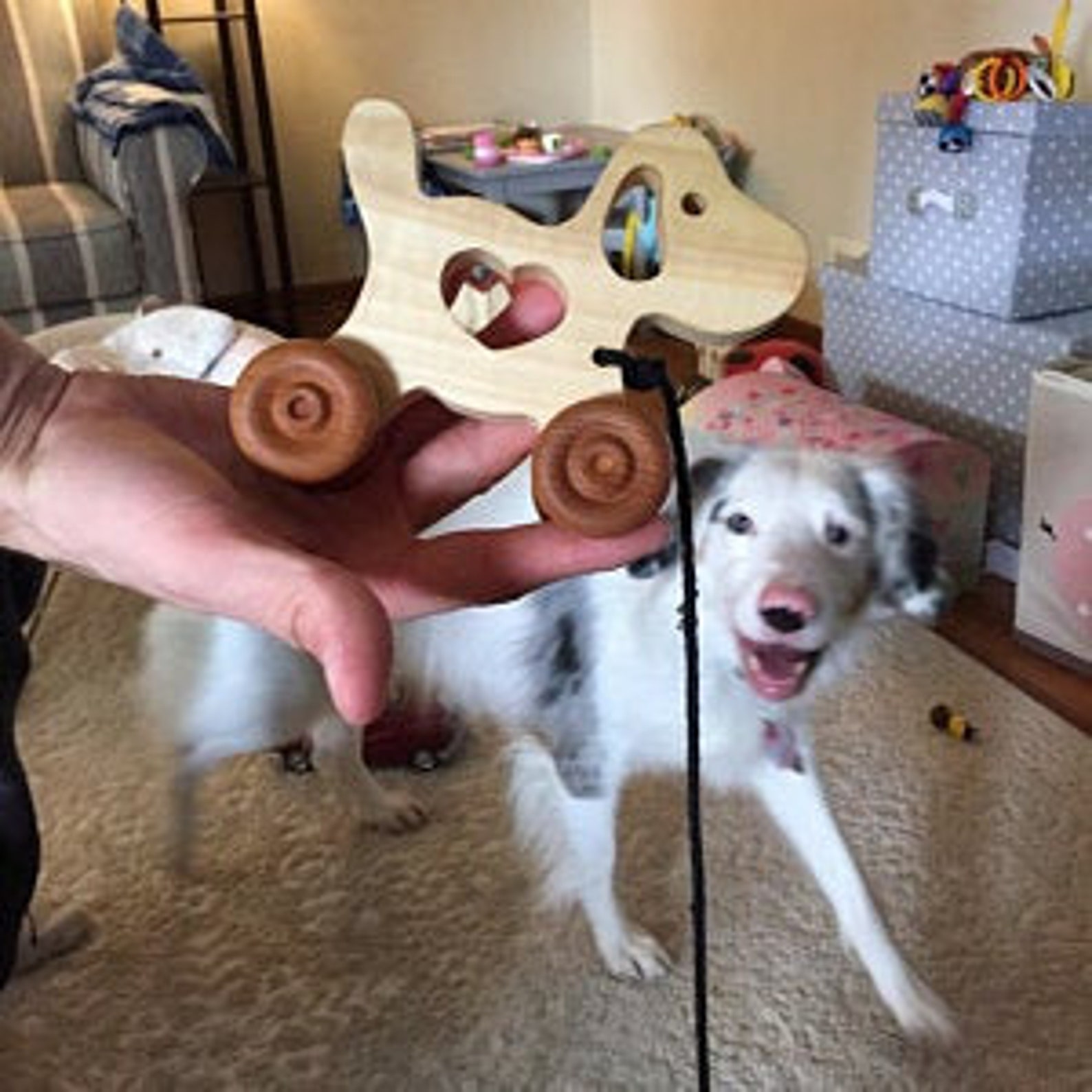 Walking Dog with Push or Pull Toy Options - Etsy