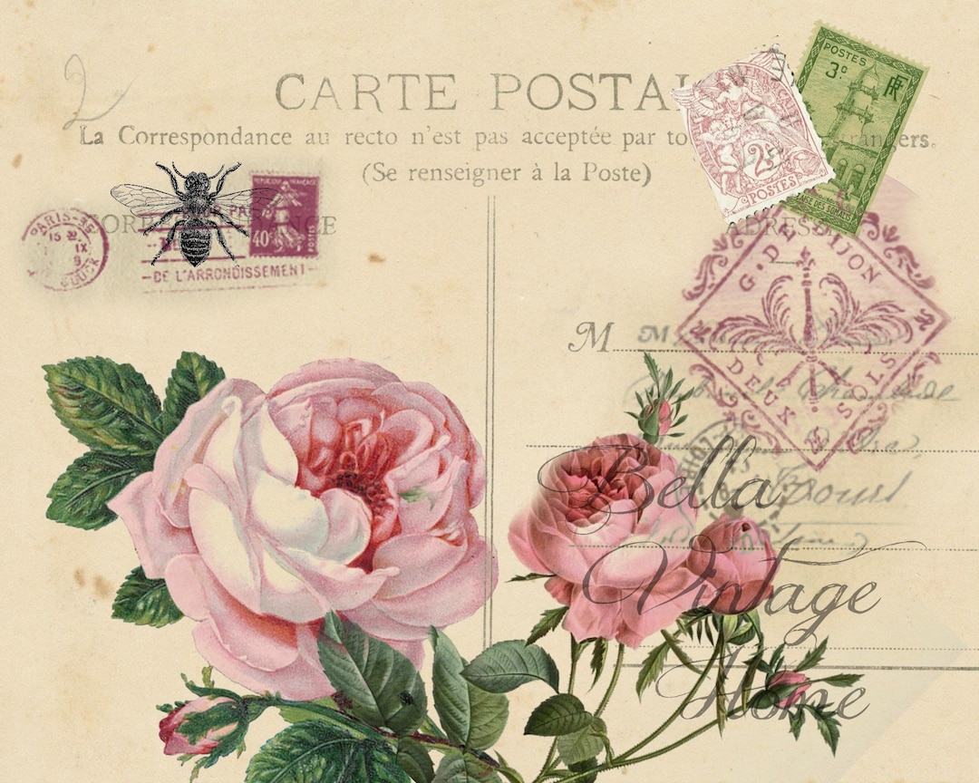 Vintage Art Print- Floral Pink Rose Carte Postale - Etsy