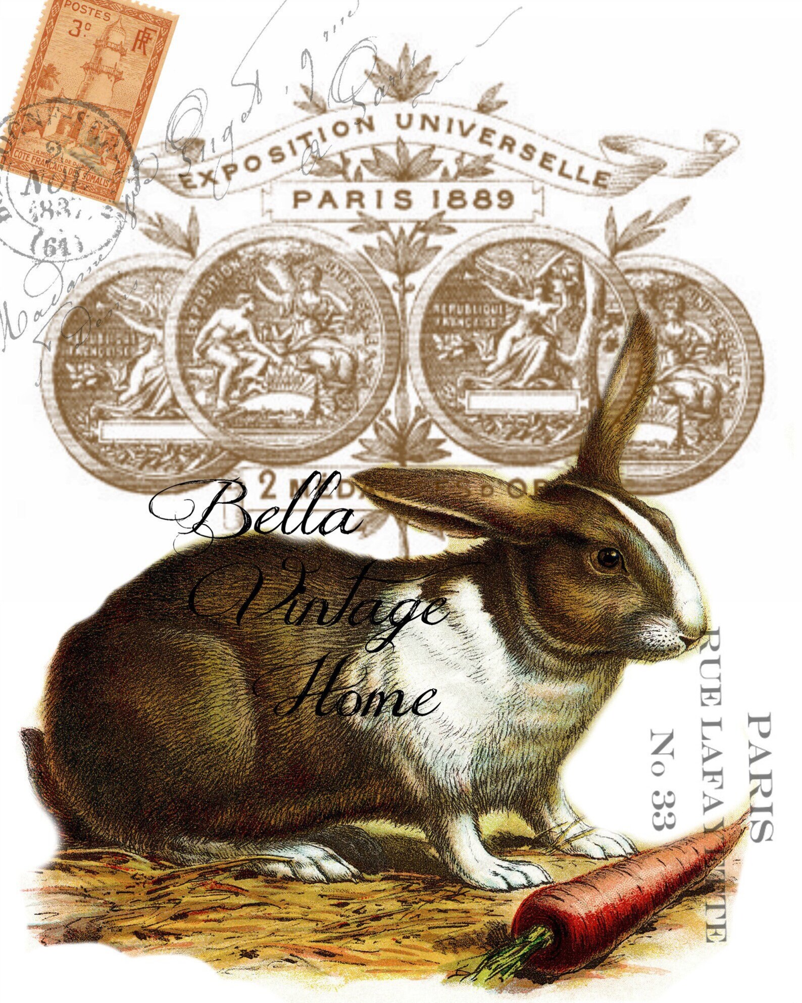 Vintage Art Print-animal Rabbit With Carrot - Etsy