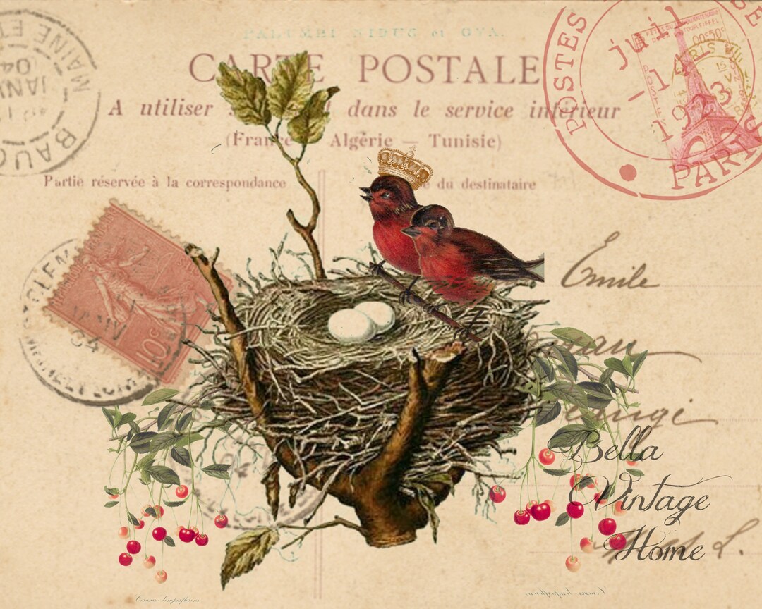 Vintage Art Print-bird-red Birds - Etsy