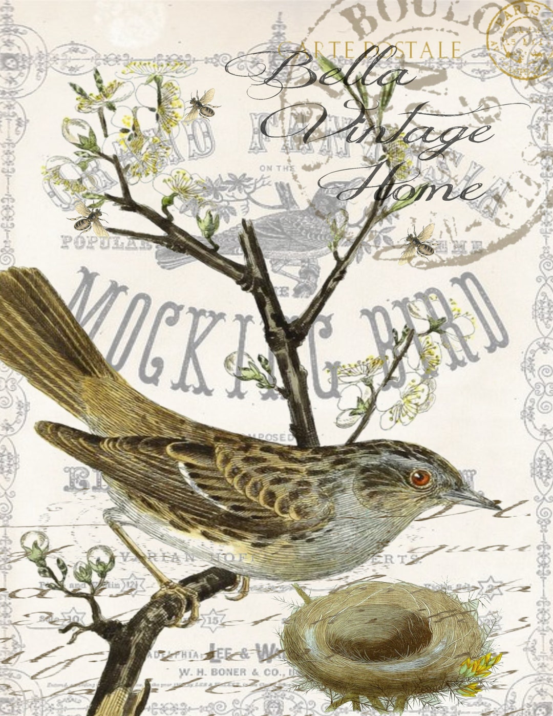 Vintage Art Print-bird-mockingbird - Etsy