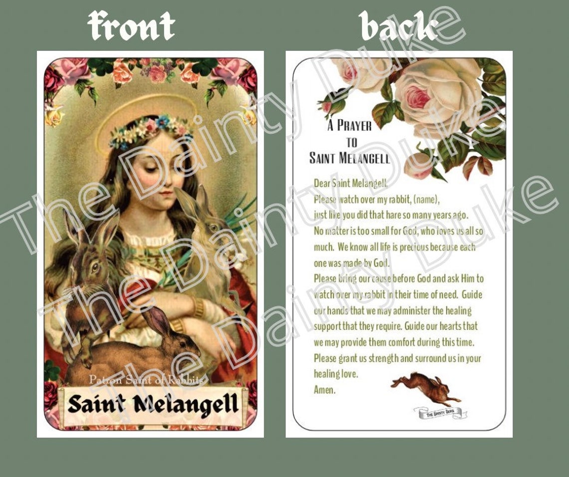 Saint Melangell Patron Saint of Rabbits, Hares and Small Animals - Etsy