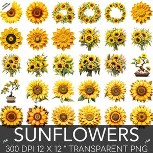 125 Sunflower Fall Clipart Bundle With 30 Free Sunflower Digital ...