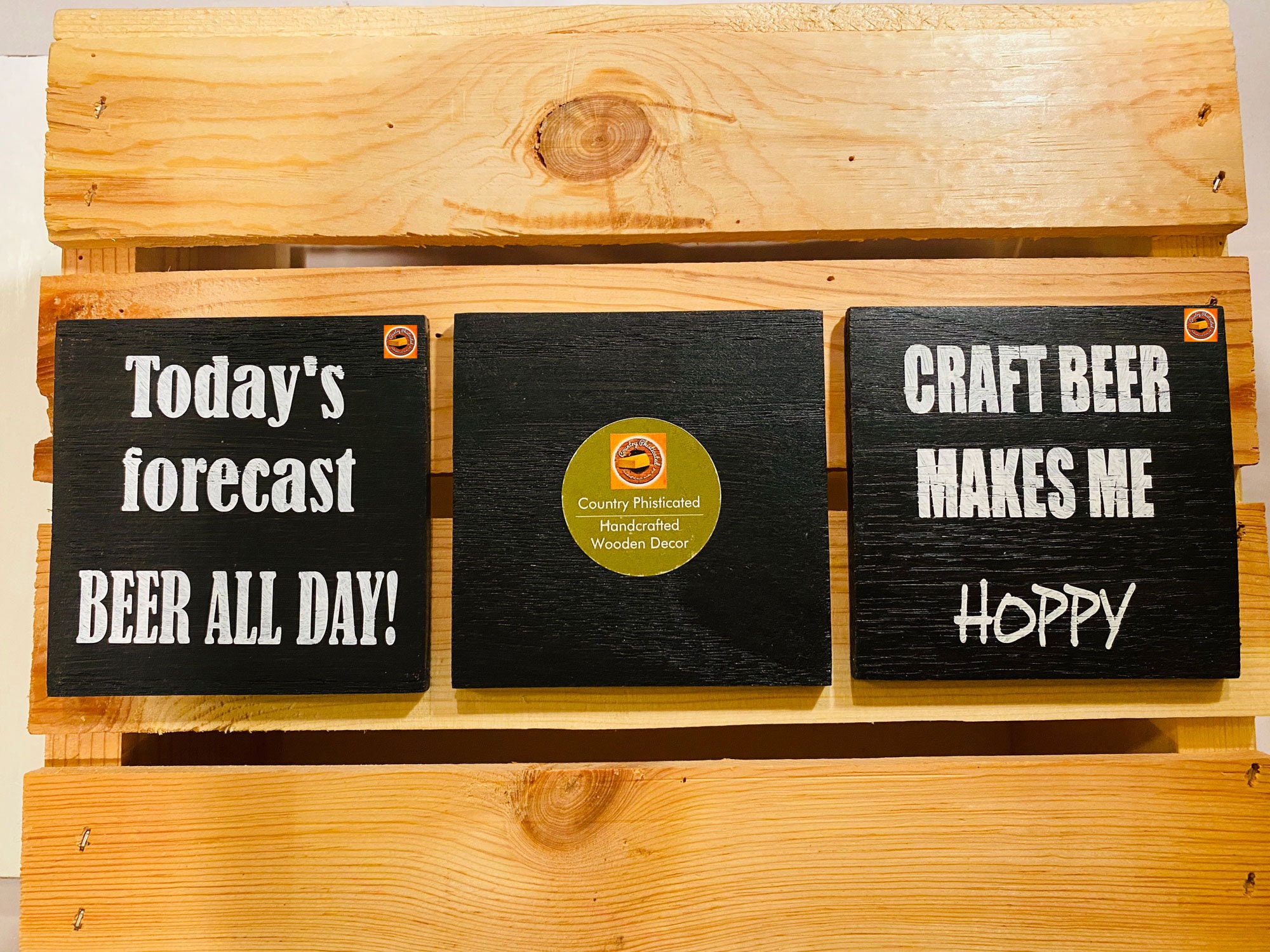 Wooden Beer Coasters / Beer Saying Coasters / Funny Wooden - Etsy