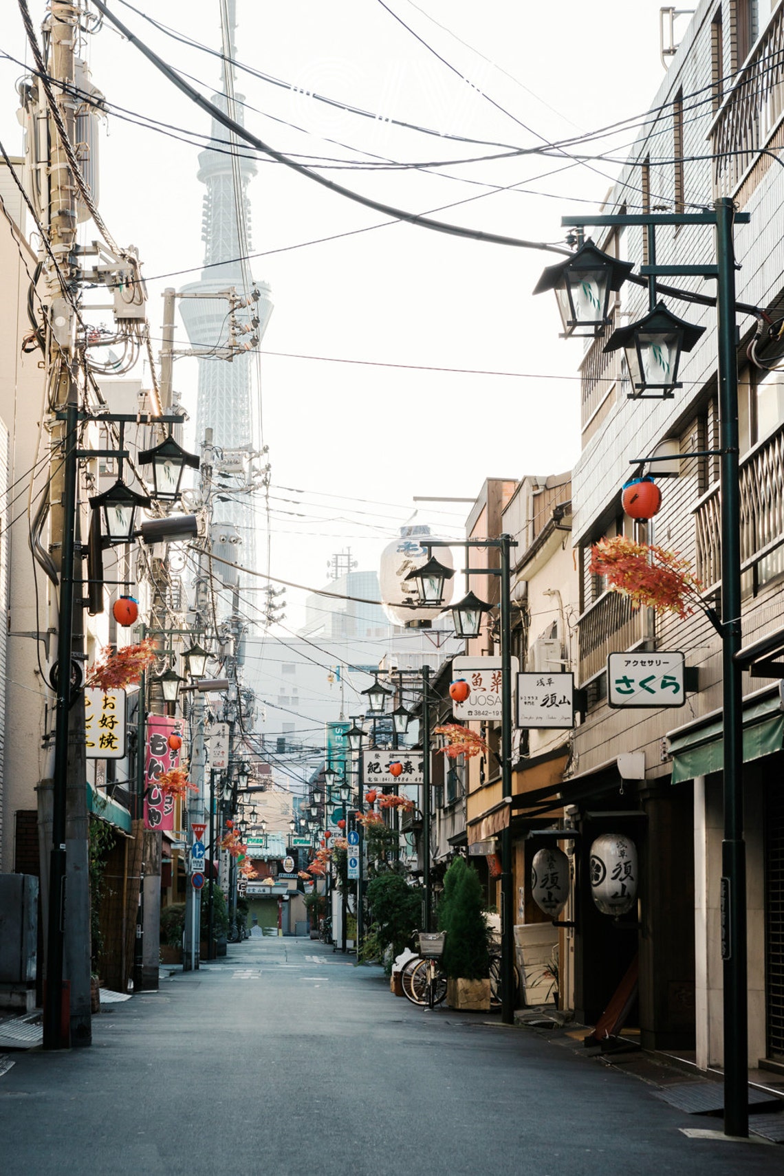 Travel Photography, Japan, Tokyo, Urban, Download Digital Photography ...