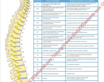 Common Effects of Spinal Subluxation Chiropractic Poster Handout Digital Download Printable Wall ...