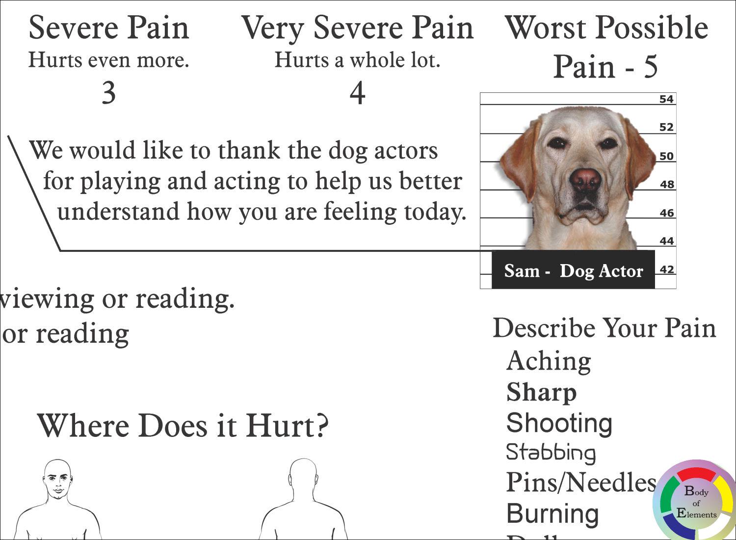 Visual and Functional Pain Scale Healthcare Clinic Medical Patient ...
