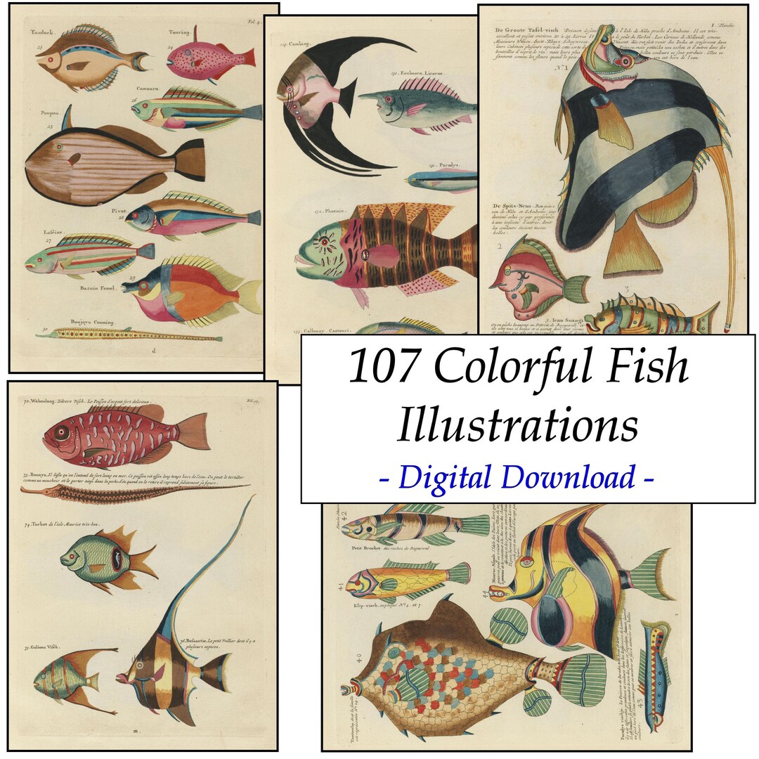 Tropical Fish Vintage Old Sea Life Ocean Illustrations Ephemera Digital ...