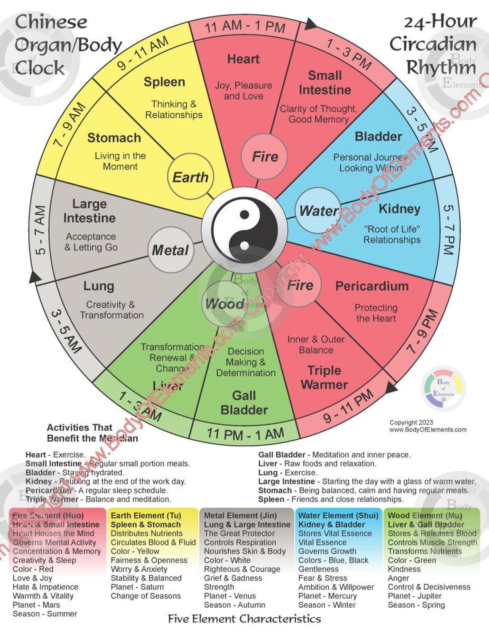 Chinese Medicine Meridian Organ Body Qi Clock TCM Associations Five ...