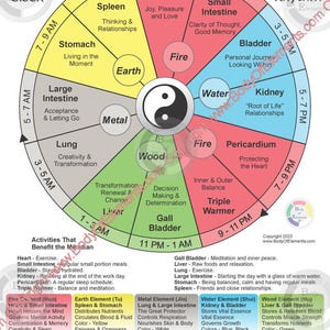 Chinese Medicine Meridian Organ Body Qi Clock TCM Associations Five ...