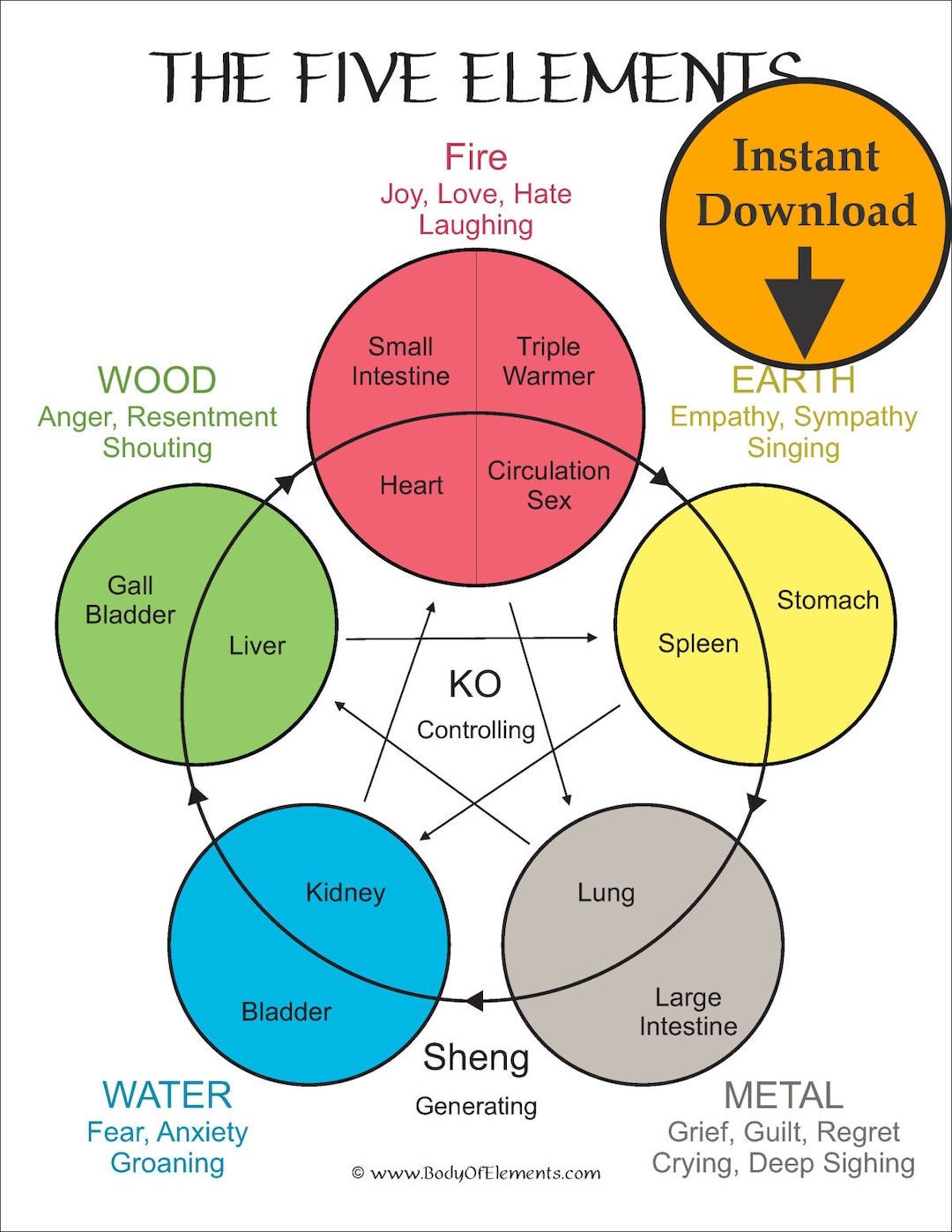 Five Elements of Acupuncture Digital Print Download Traditional Chinese ...