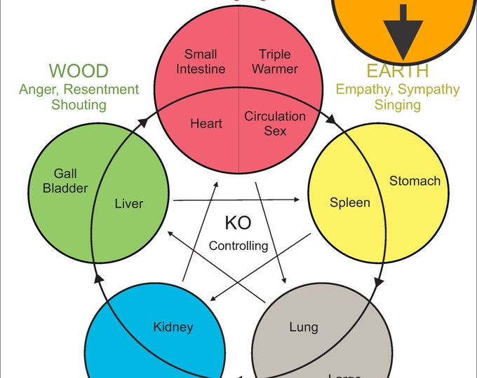Chinese Medicine Meridian Organ Body Qi Clock TCM Associations Five ...