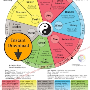 Chinese Medicine Meridian Organ Body Qi Clock TCM Associations Five ...