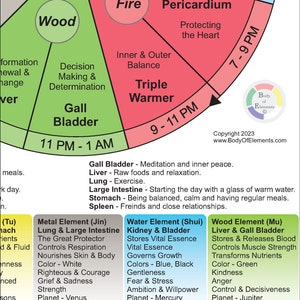 Chinese Medicine Meridian Organ Body Qi Clock TCM Associations Five ...